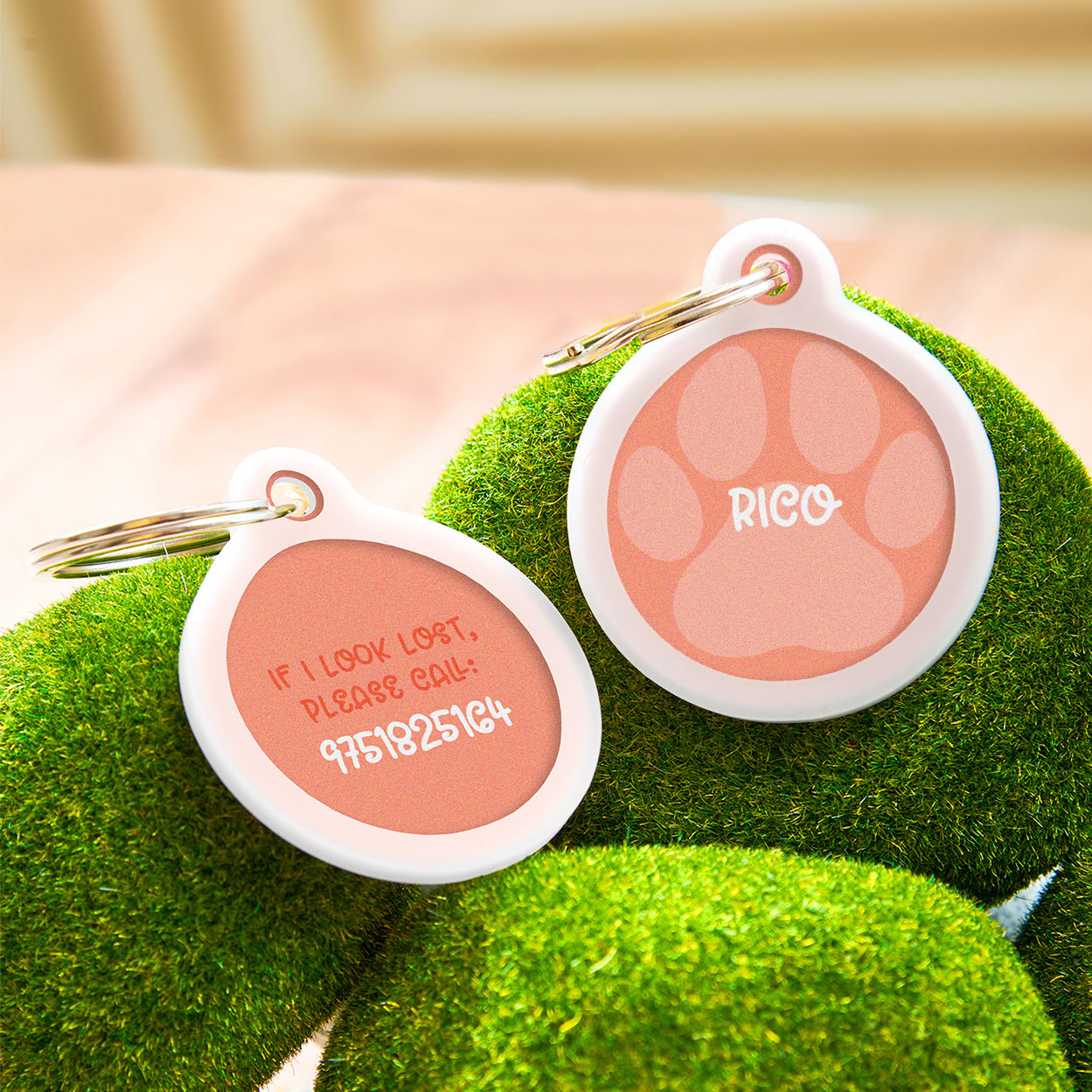 Paw Party Personalized Dog Name Tags | Zoomin