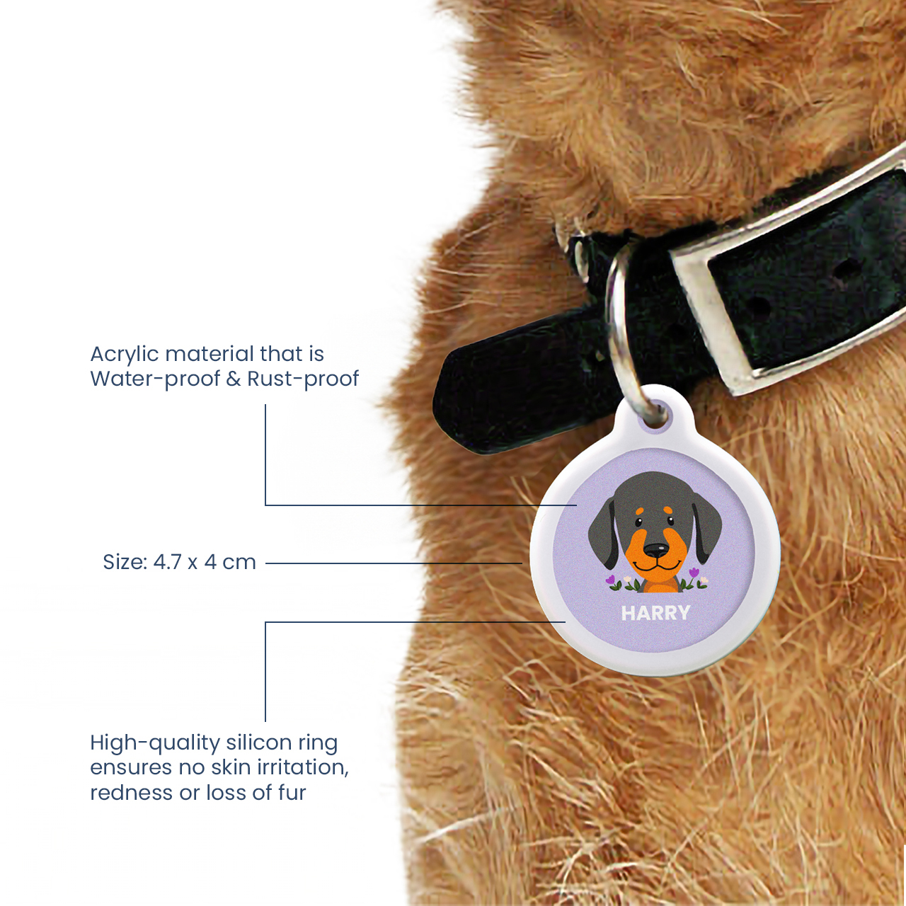 Paw Party Personalized Dog Name Tags | Zoomin